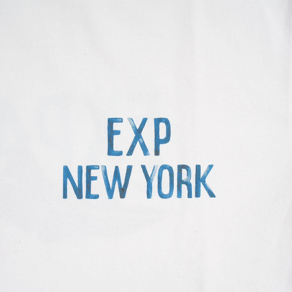 EXPANSION FLAG EXP T-SHIRTS WHITE – KICKS LAB.